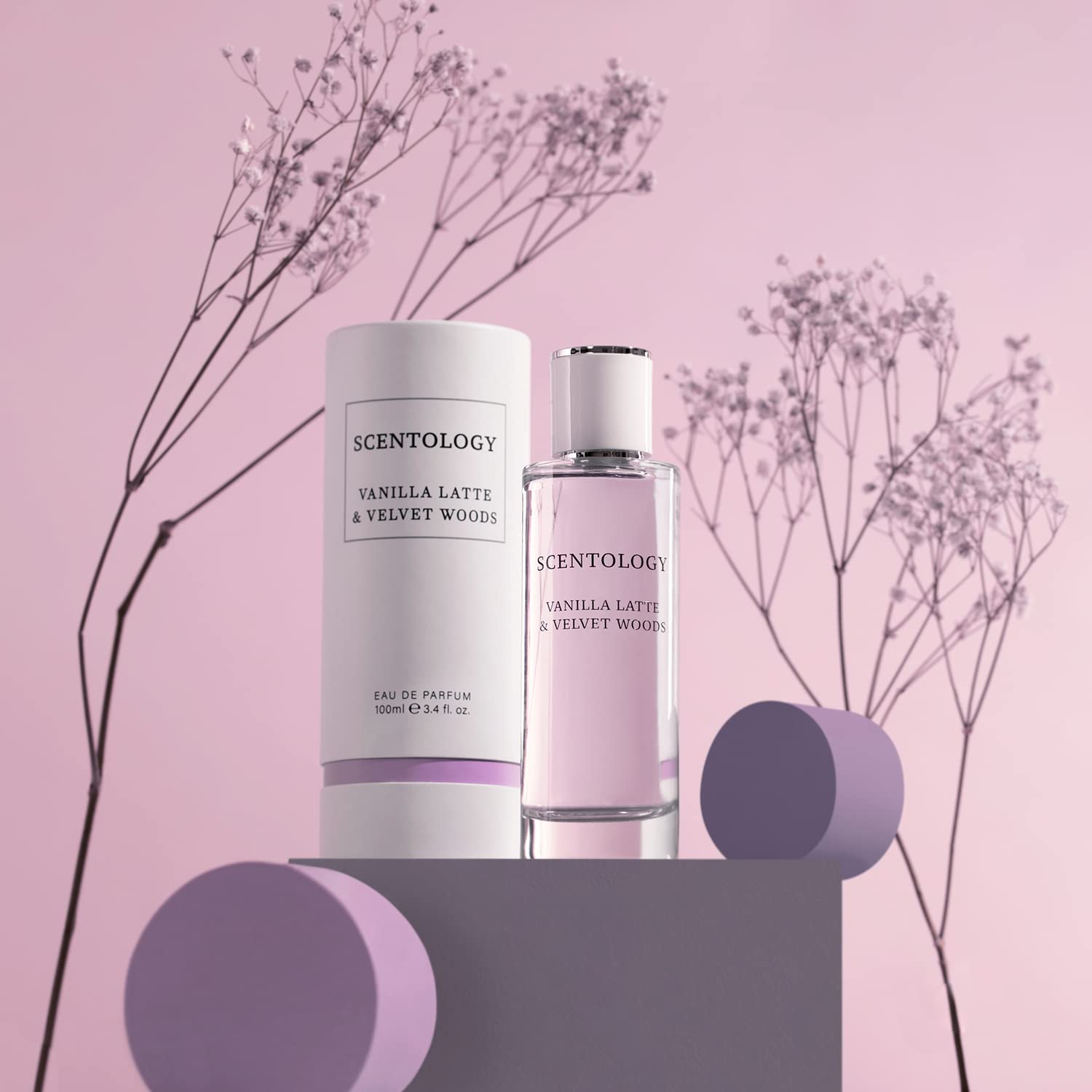 Scentology Vanilla Latte & Velvet Woods Eau De Parfum 100ml - Carnesia
